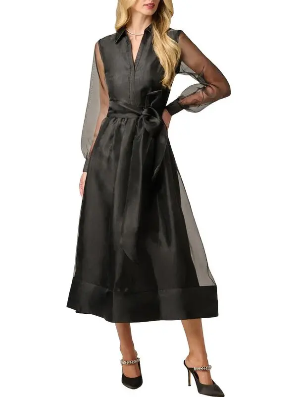 Adrianna Papell Organza Long Sleeve Gown - Black