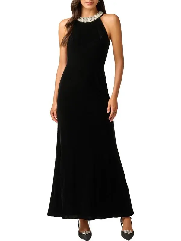 Adrianna Papell Beaded Neck Sleeveless Velvet Gown - Black