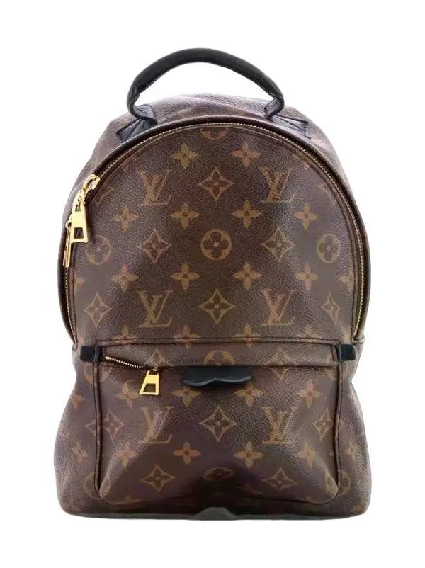 LOUIS VUITTON Palm Springs Monogram Canvas Pm Backpack - Brown
