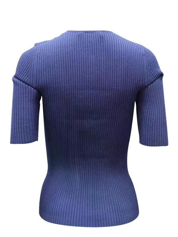 Altuzarra Ribbed-knit Top - Blue
