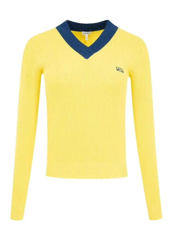Loewe Sweater /blue - Yellow