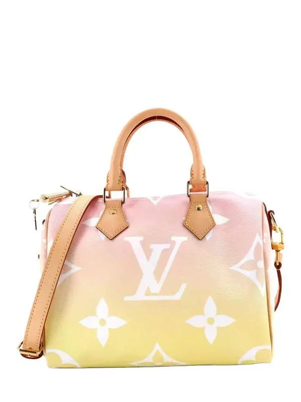 LOUIS VUITTON Speedy Bandouliere Bag Monogram Giant 25 - Multicolour