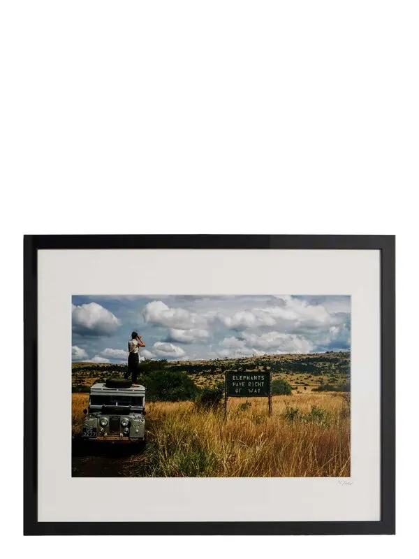 SONIC EDITIONS Framed 1958 Elephants Right Of Way Print, 50" X 40 - Multi