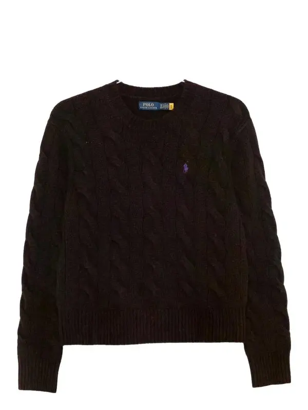 Polo Ralph Lauren Cable Knit Embroidered Logo Sweater - Brown