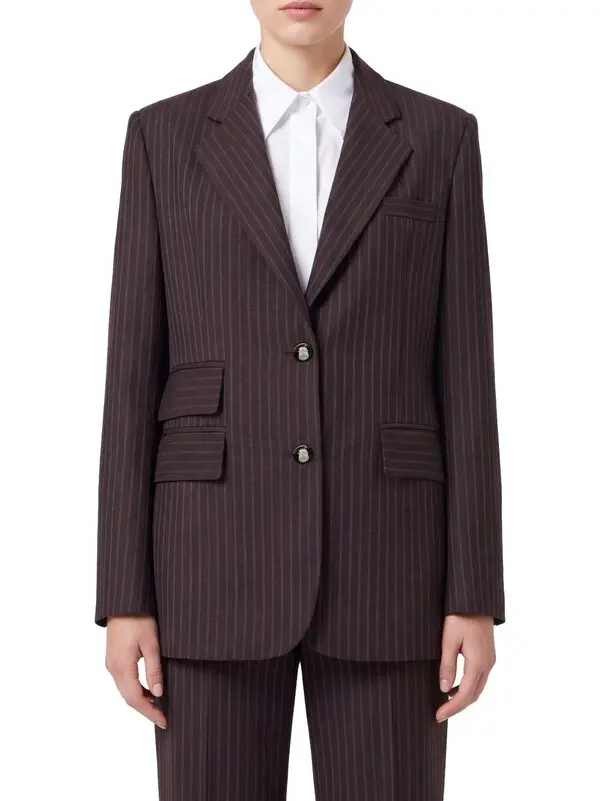 Elisabetta Franchi Single-breasted Wool Blend Pinstripe Blazer - Brown