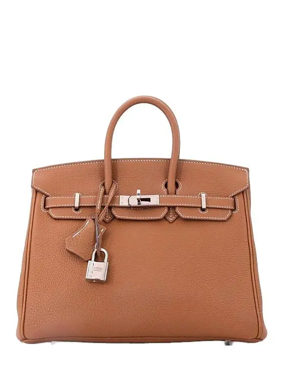 Hermès Birkin 25 Handbag Brown Togo With Palladium Hardware - Gold