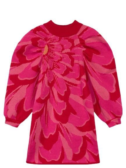 Farm Rio Long Sleeve Printed Knit Dress - Red