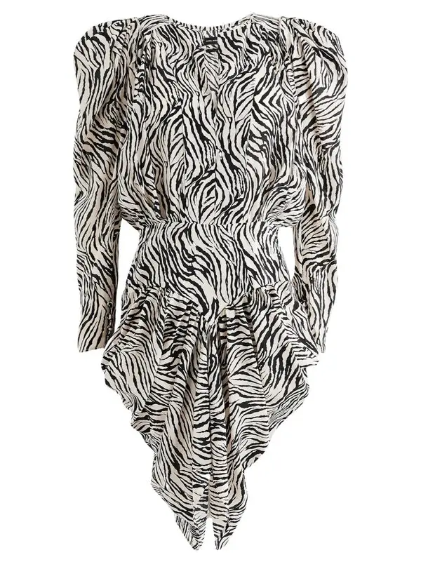 Isabel Marant Étoile Zebra Print V-neck Long Sleeve Dress - White