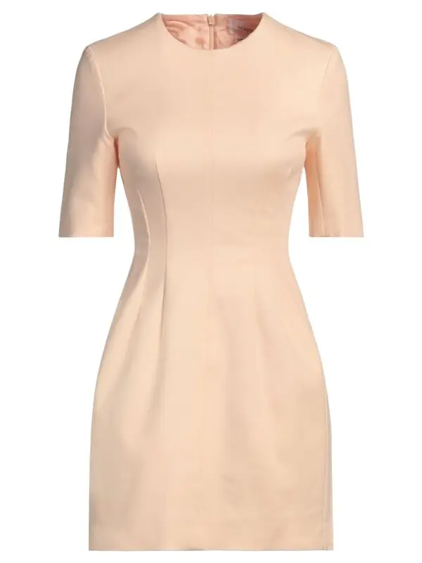 Sportmax Sheath Dress With Short Sleeves And Round Neck - Nude