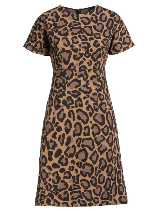 Dolce & Gabbana Leopard Print Jacquard Knit Dress - Black