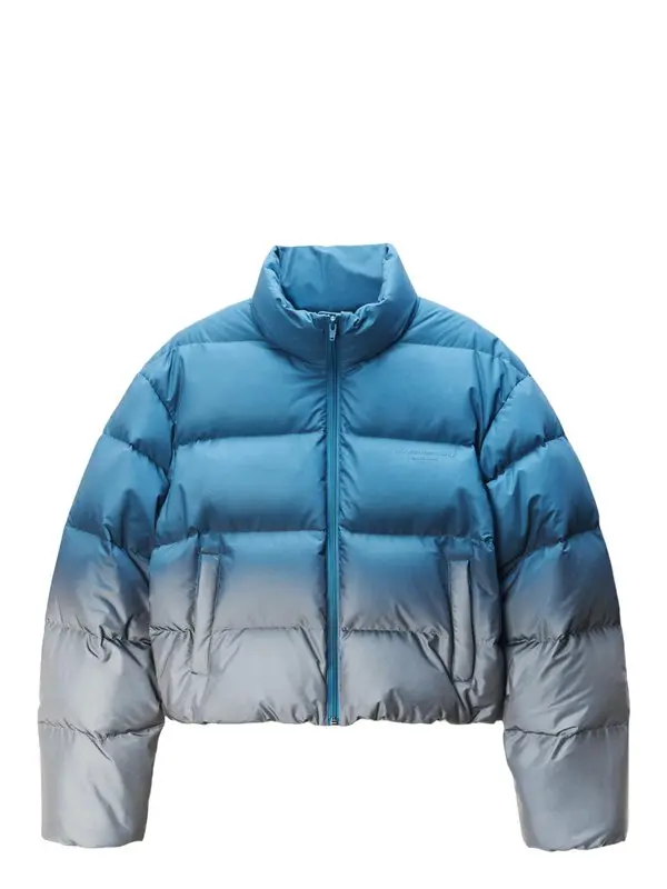 Alexander Wang Reflective Cropped Puffer Coat - Silver/blue