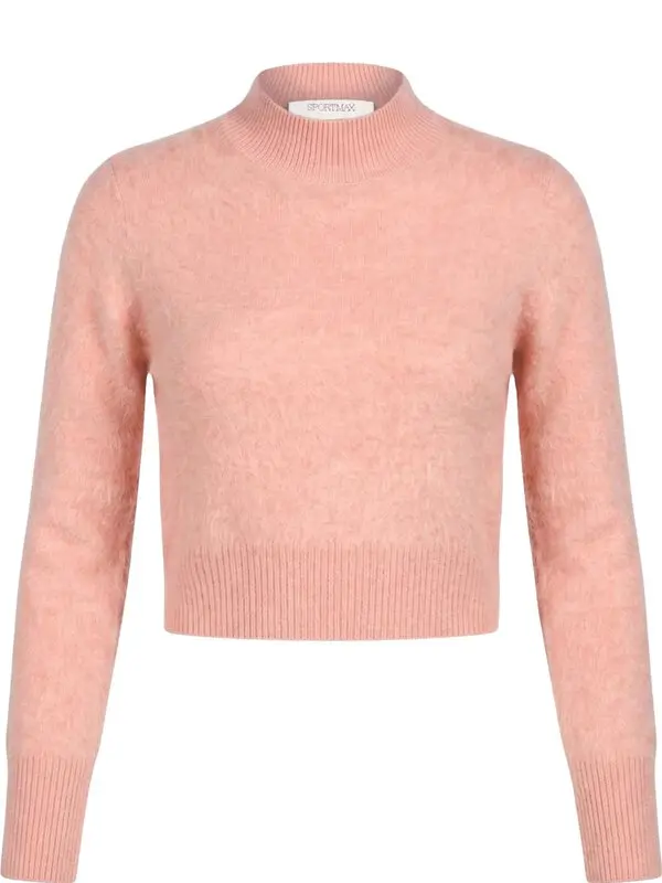 Sportmax Solid Color Knit Turtleneck Sweater With Appliqués - Pink