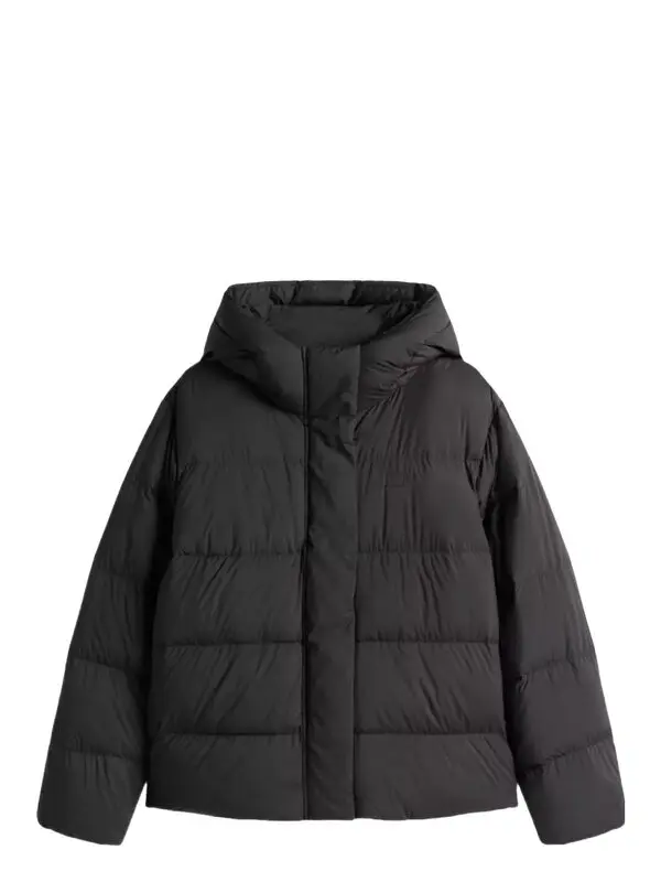 Tommy Hilfiger Shorts Down Puffer Jacket - Black