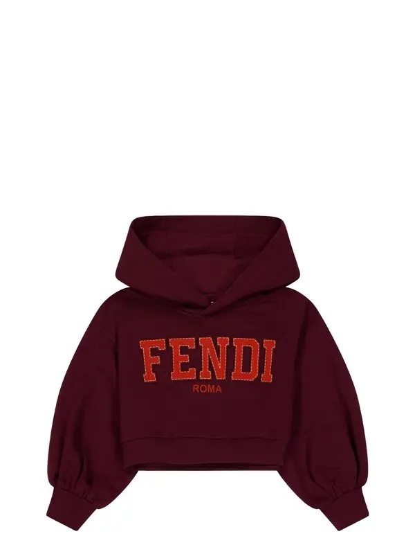 Fendi Printed Logo Hoodie Sweatshirt - Brown