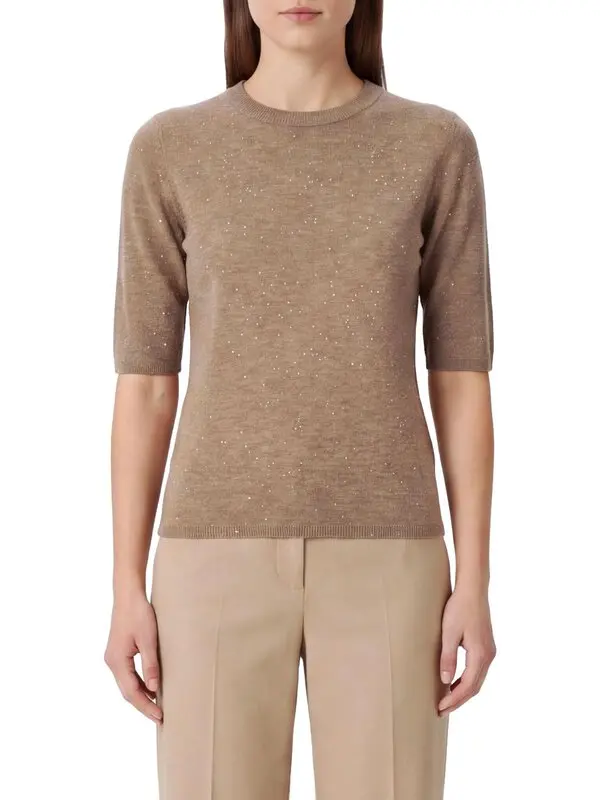 Fabiana Filippi Short-sleeved Crewneck Wool Blend Jumper - Coffee