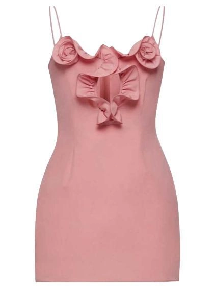Magda Butrym Ruffled Mini Dress With Rose Appliqués - Pink