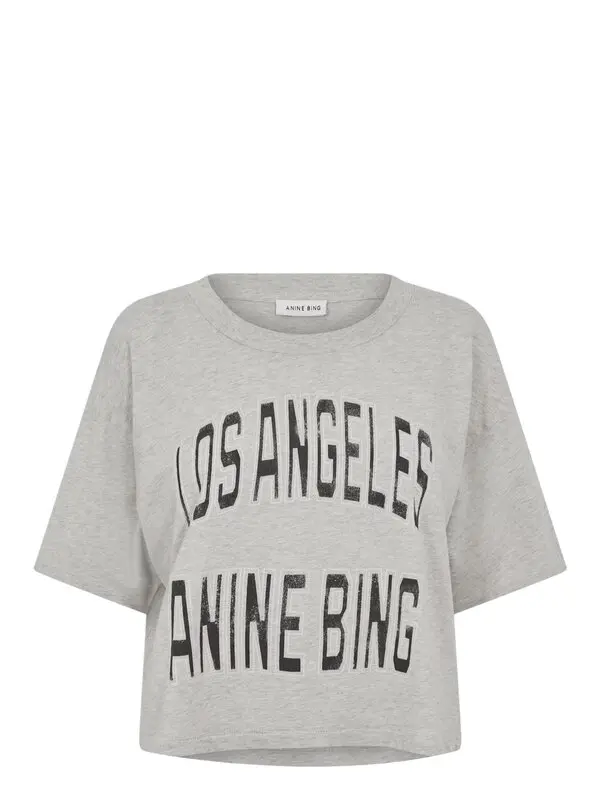 ANINE BING Graphic Print Round Neck Short Sleeve T-shirt - Grey