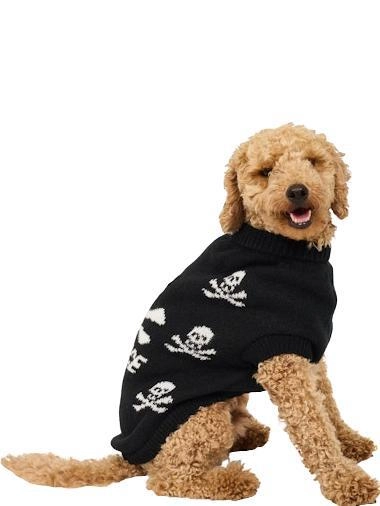 PALACE Pirate Dog Pullover - Black