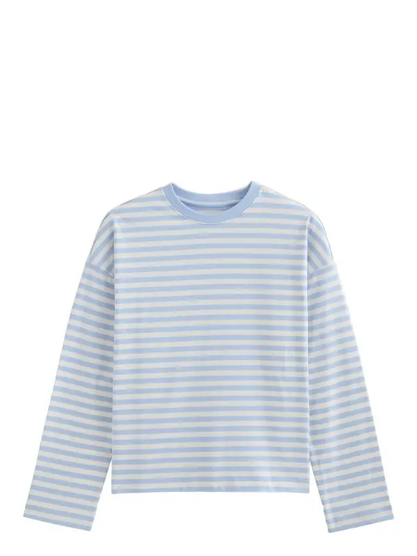 Everlane Regenerative Cotton Striped Long-sleeve Crewneck T-shirt - Blue