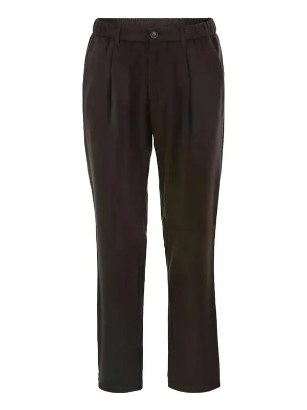 Herno Pleated Trousers With Elasticated Waistband - Brown