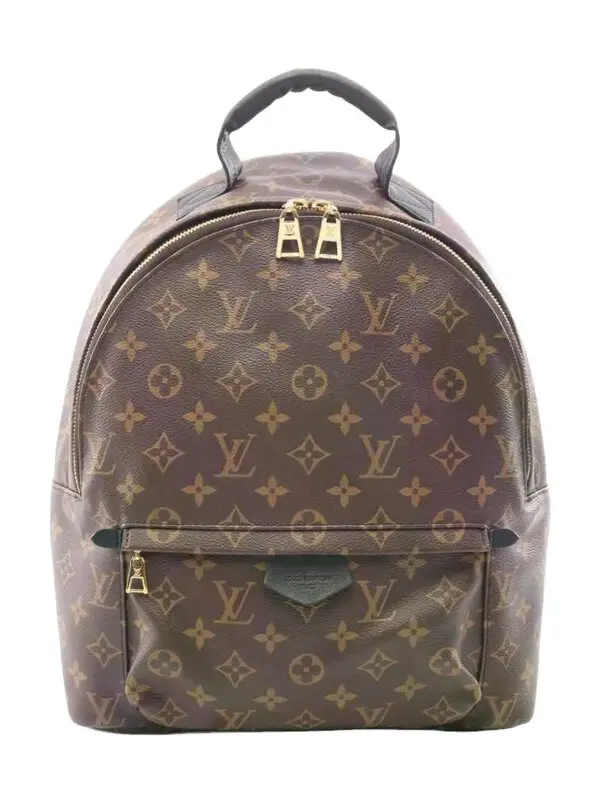 LOUIS VUITTON Monogram Canvas Palm Springs Mm Backpack - Brown