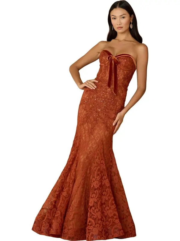 MAC DUGGAL COLLECTION Embroidered Lace Corset Mermaid Gown - Brown