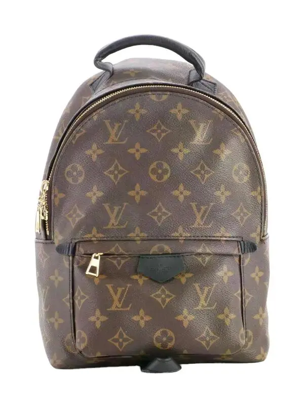 LOUIS VUITTON Palm Springs Monogram Canvas Pm Backpack - Brown