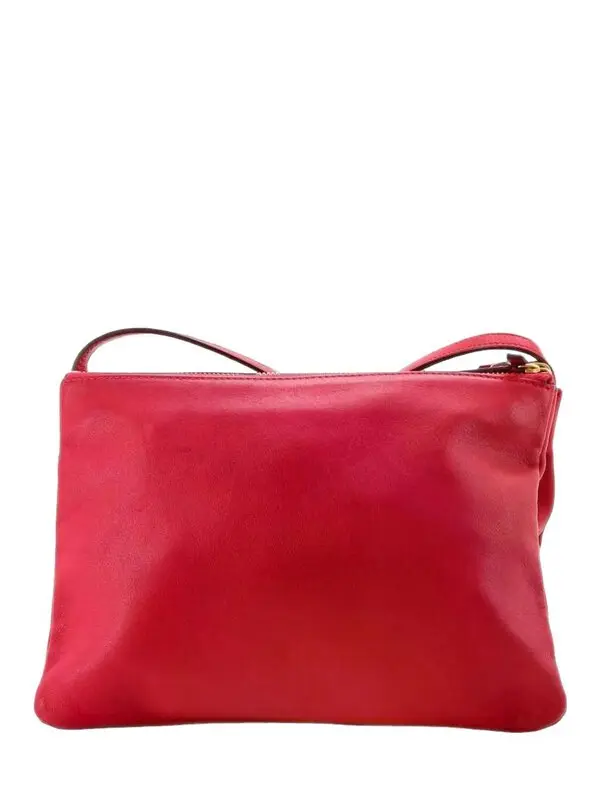 Celine Trio Leather Large Cross Body Bag - Pink