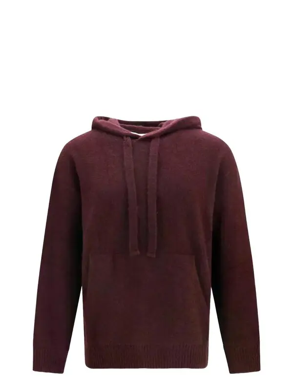 LANEUS Knitted Hoodie - Purple