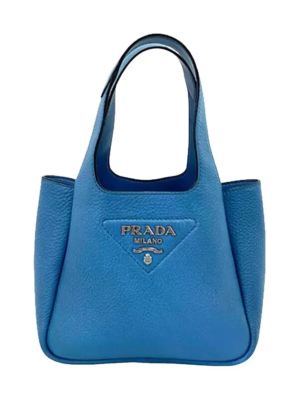 Prada 2010-2026 Vitello Daino Handbag - Blue