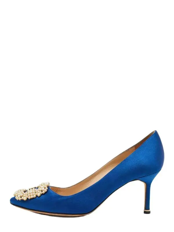 Manolo Blahnik Hangisi Pointed-toe Pumps - Blue