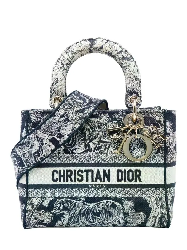 Dior 2021 Medium Embroidered Canvas Toile De Jouy Lady D Lite Satchel - Blue