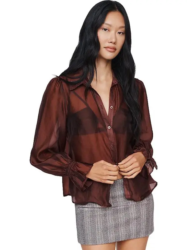 Anthropologie Sheer Buttondown Blouse - Brown