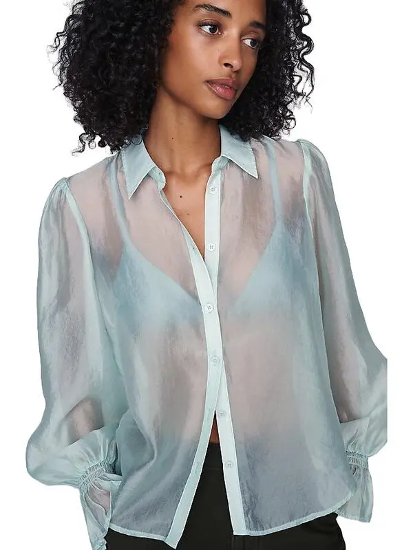 Anthropologie Sheer Buttondown Blouse - Light Blue