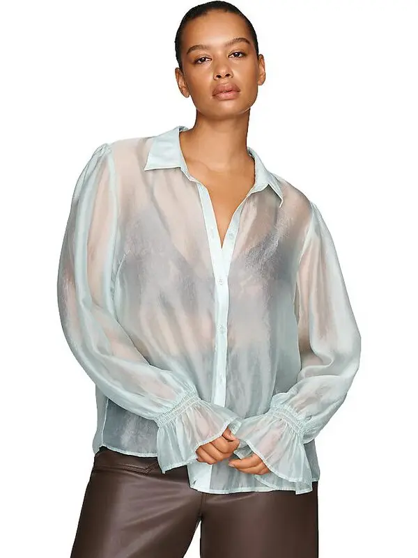 Anthropologie Sheer Buttondown Blouse - Light Blue