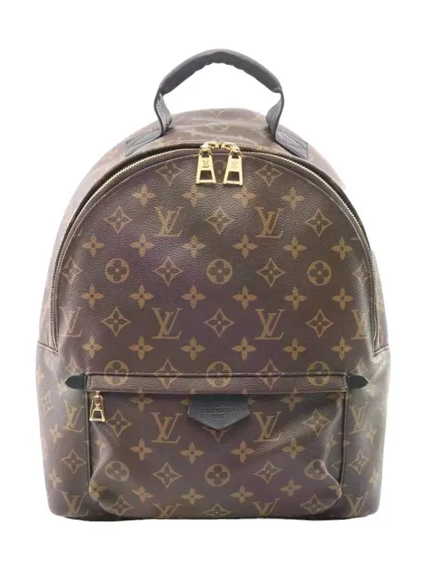 LOUIS VUITTON Monogram Palm Springs Mm Backpack - Brown