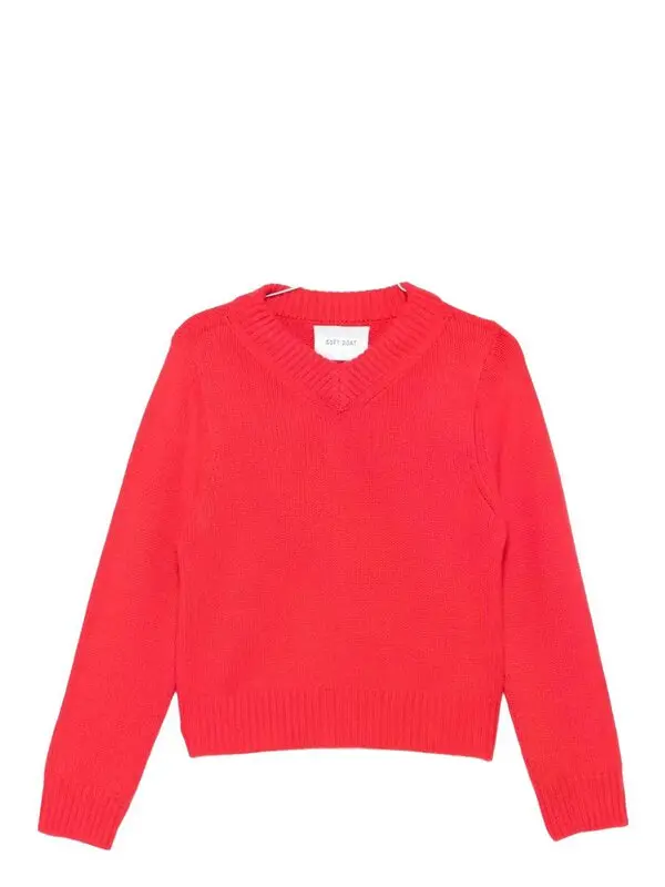 Soft Goat Ribbed V-neck Sweater - Red