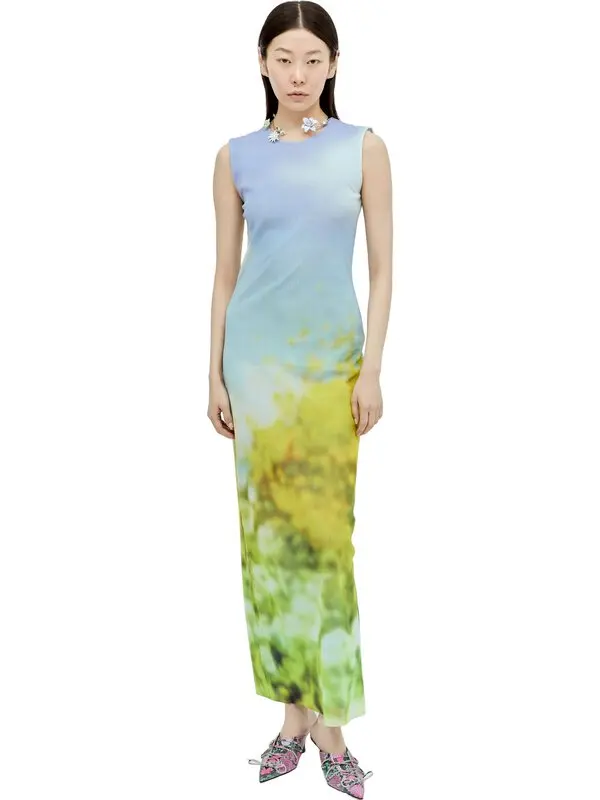 Acne Studios Blurred Print Maxi Dress - Multicolor