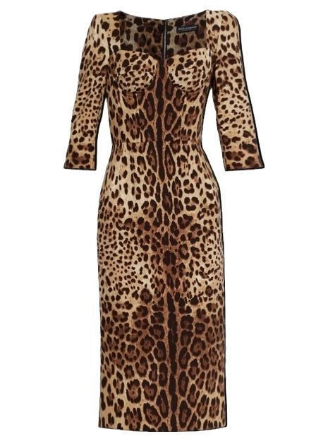 Dolce & Gabbana Leo-print Charmeuse Dress - Brown