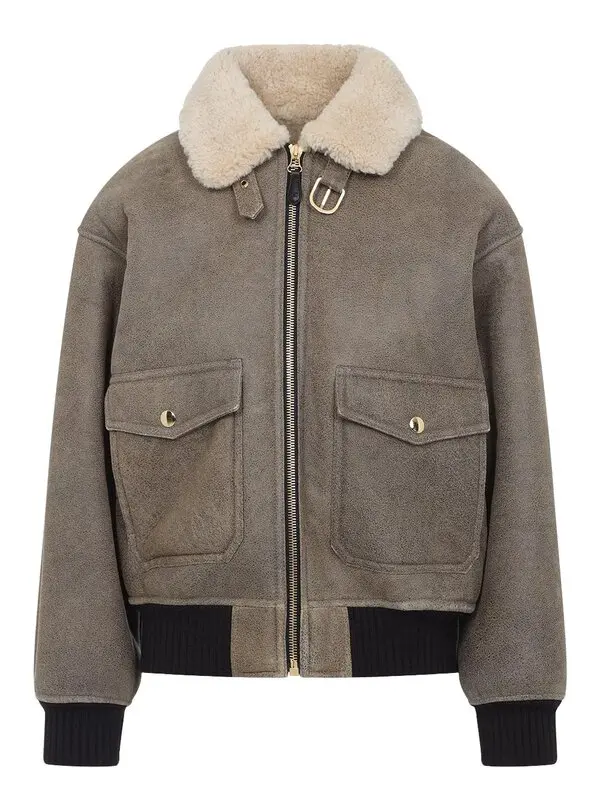 Celine Aviateur Brodé Blouson - Brown