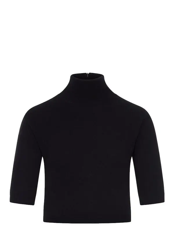 Max Mara Stretch Fabric Cropped Turtleneck - Black