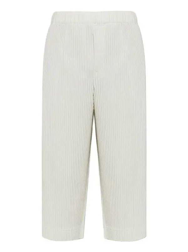 Issey Miyake Pleated Trousers - Multicolor