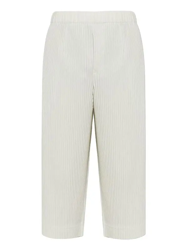 Issey Miyake Pleated Trousers - Multicolor
