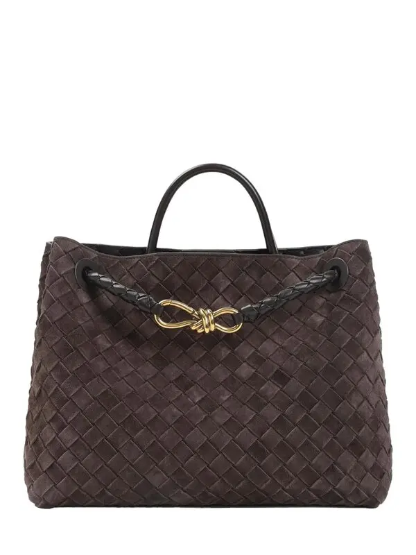 Bottega Veneta Andiamo Medium Bag - Brown