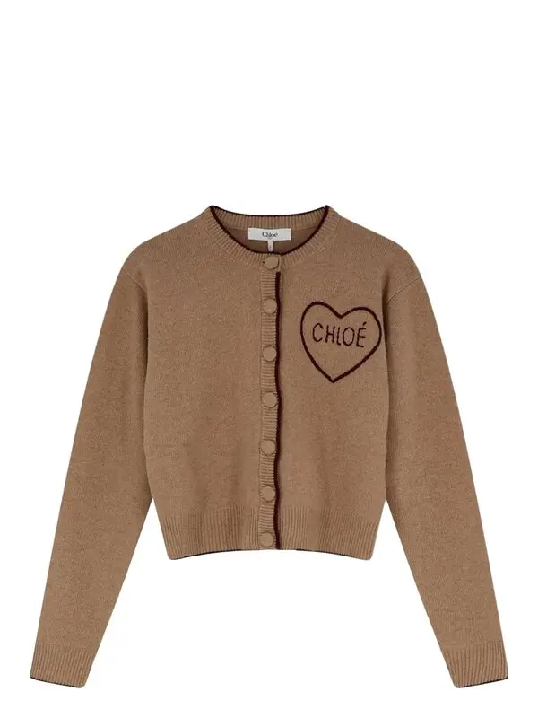 Chloé Wool And Cashmere Cardigan - Multicolor
