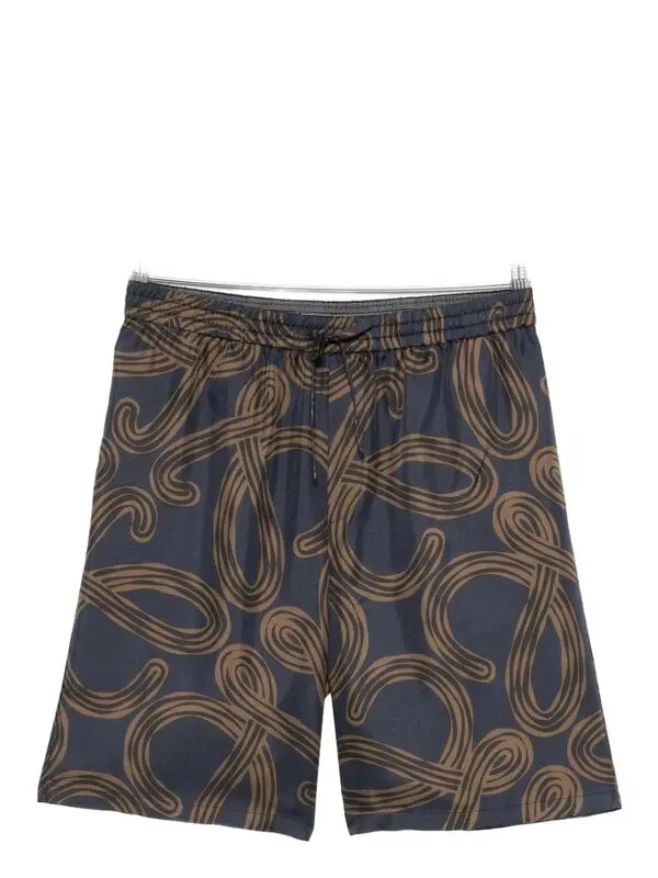 Loewe Printed Silk Shorts - Multicolor
