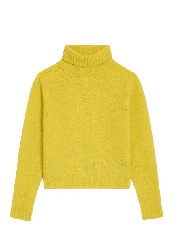 Celine Wool Turtleneck With Triomphe Embroidery - Multicolor