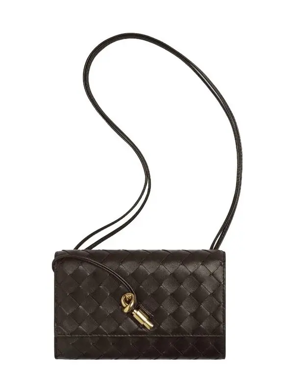 Bottega Veneta Pouch Andiamo - Multicolor