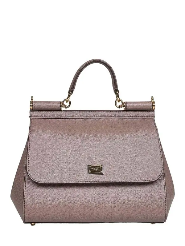 Dolce & Gabbana Taupe Large Sicily Handbag - Multicolor