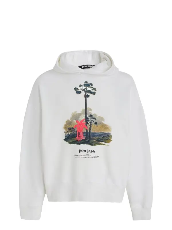 Palm Angels Graphic Hoodie - Multicolor